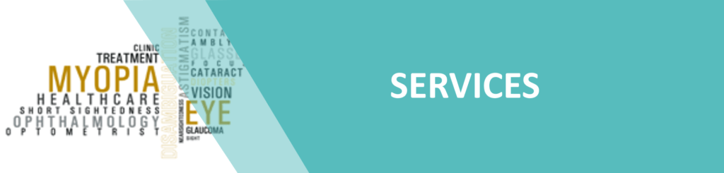 Services – Vision Excellence