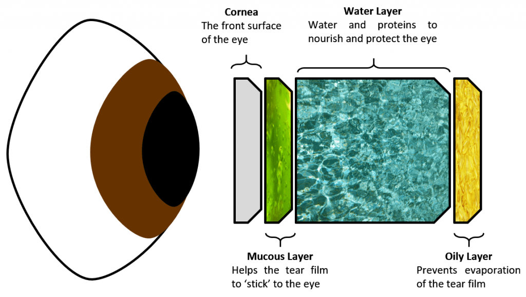Dry Eye Disease – Vision Excellence